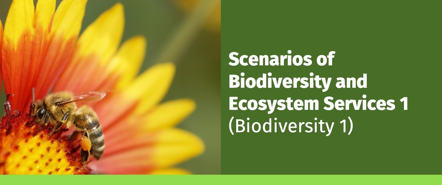 Scenarios of Biodiversity and Ecosystem Services (Biodiversity 1 ...