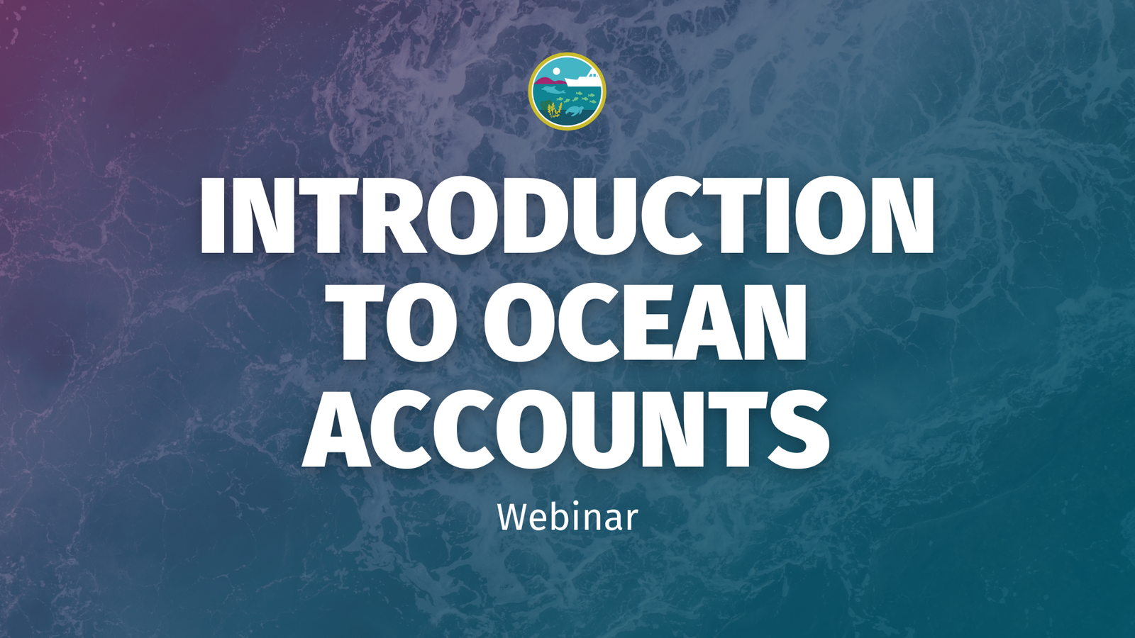 Webinar: Introduction to Ocean Accounts - Belmont Forum